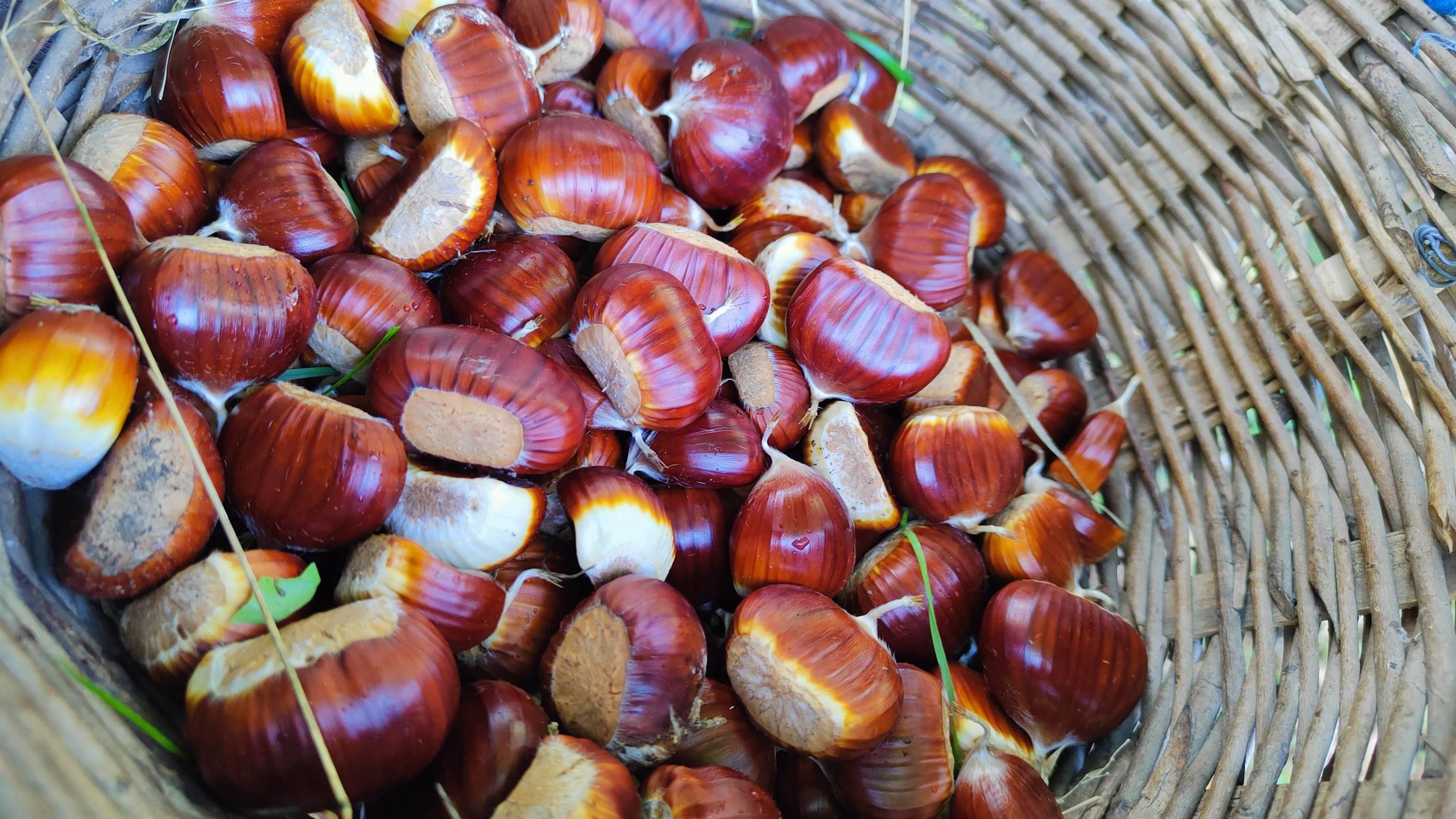 Törggelen della Lessinia - Visit Lessinia - Official tourist ...