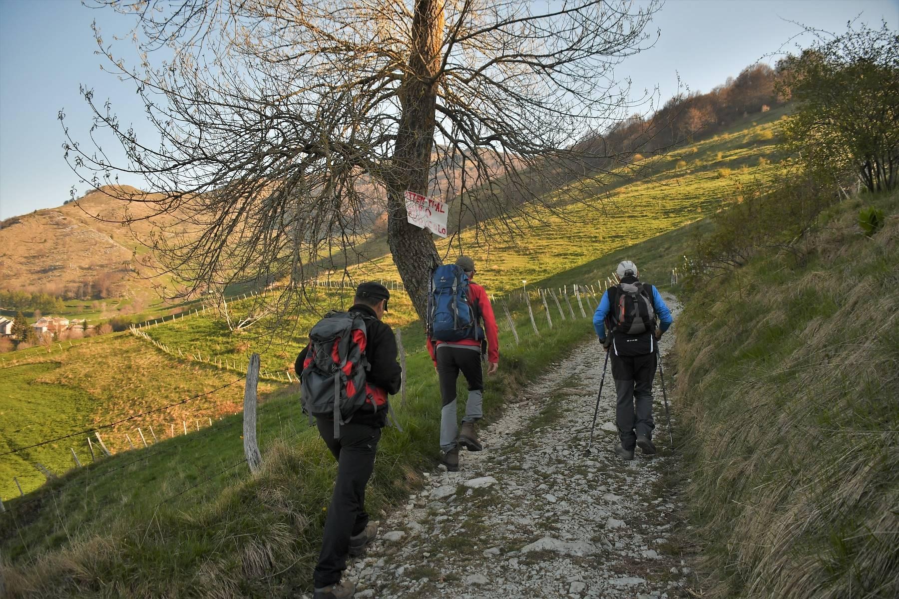 Escursione in Lessinia - Visit Lessinia - Official tourist information ...