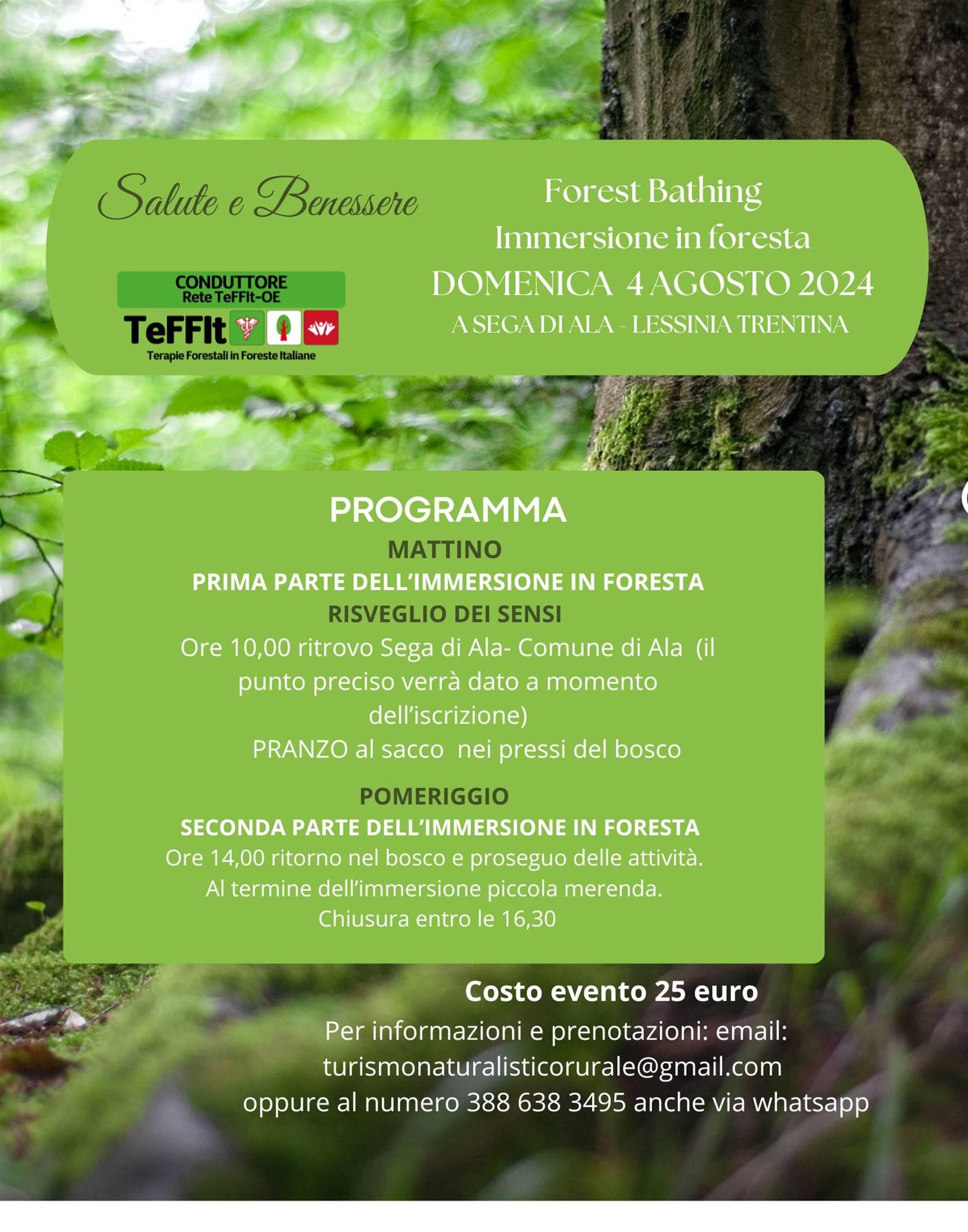 Escursione "Immersione nella foresta" - Visit Lessinia - Official ...