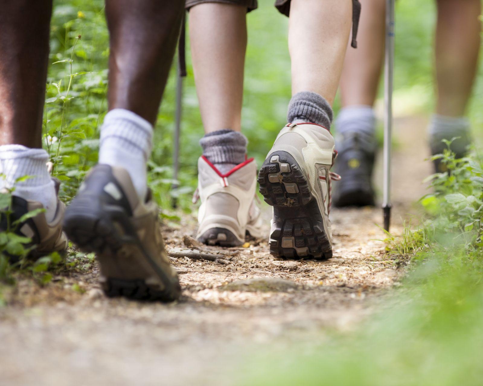 Escursione GEL 25 Agosto in Lessinia - Visit Lessinia - Official ...