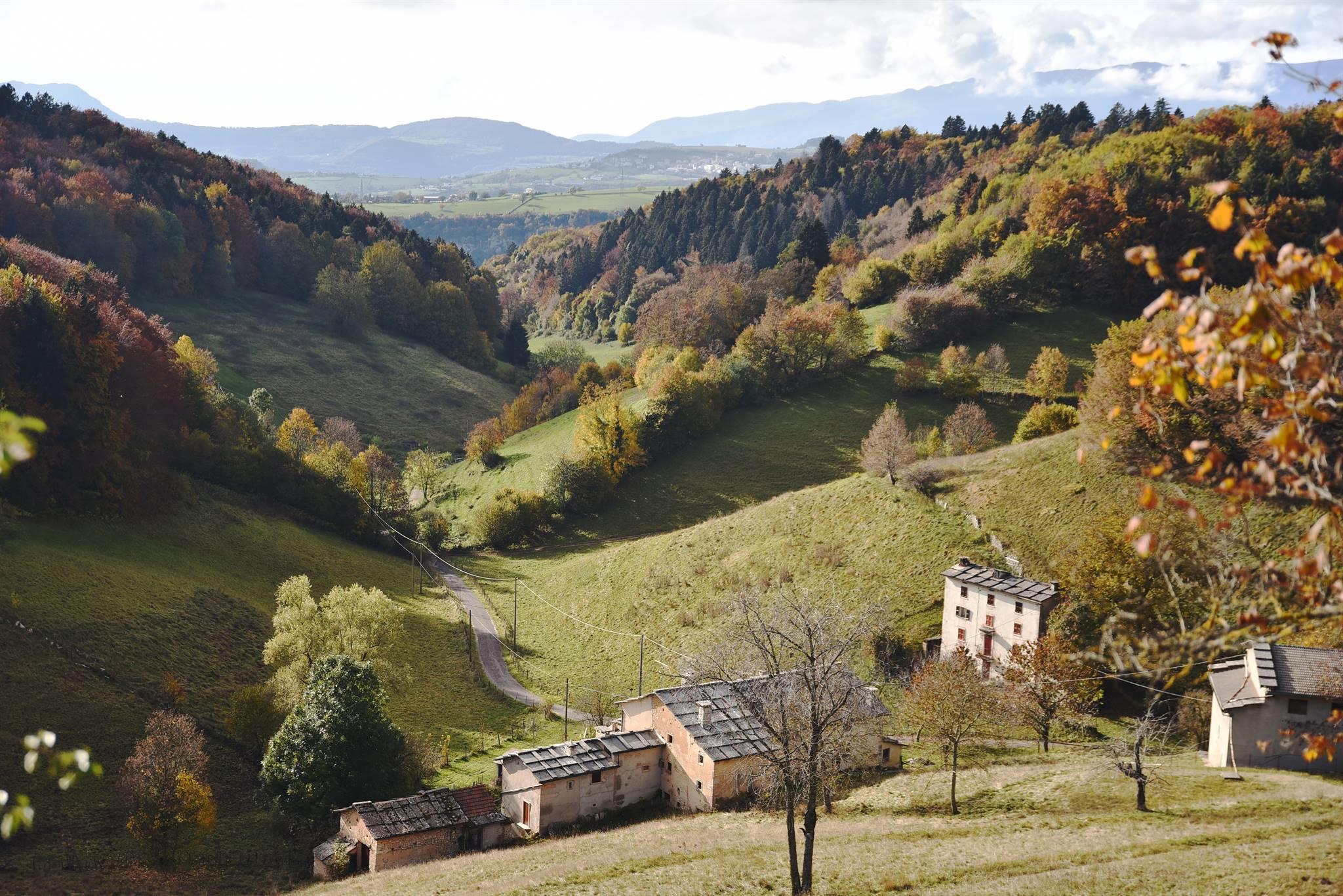 Escursione - Le antiche contrade di Bosco Chiesanuova - Visit Lessinia ...