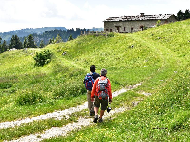 Trekking e Percorsi della Lessinia - Visit Lessinia - Official tourist ...
